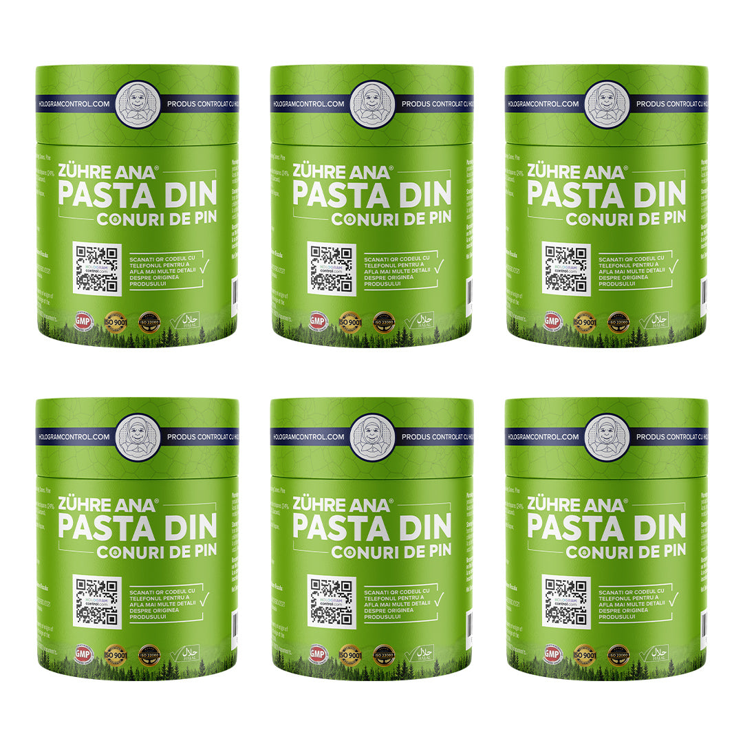 6 Paste de Conuri de Pin | Zühre Ana – ZÜHRE ANA